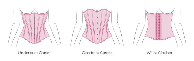 Corset Terminology | Skinister Realistic Shapewear